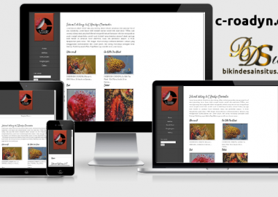 Contoh Desain Website, Toko Online, Perusahaan